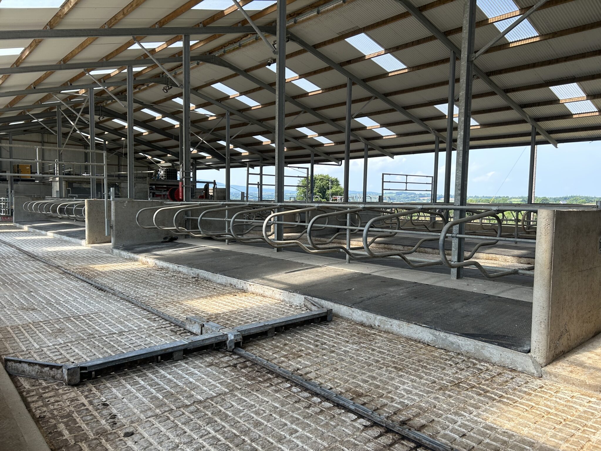 Dairy Focus: Family using robot to set up second dairy unit
