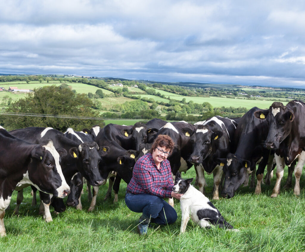 Designating only one person as herd keeper labelled 'demoralising ...