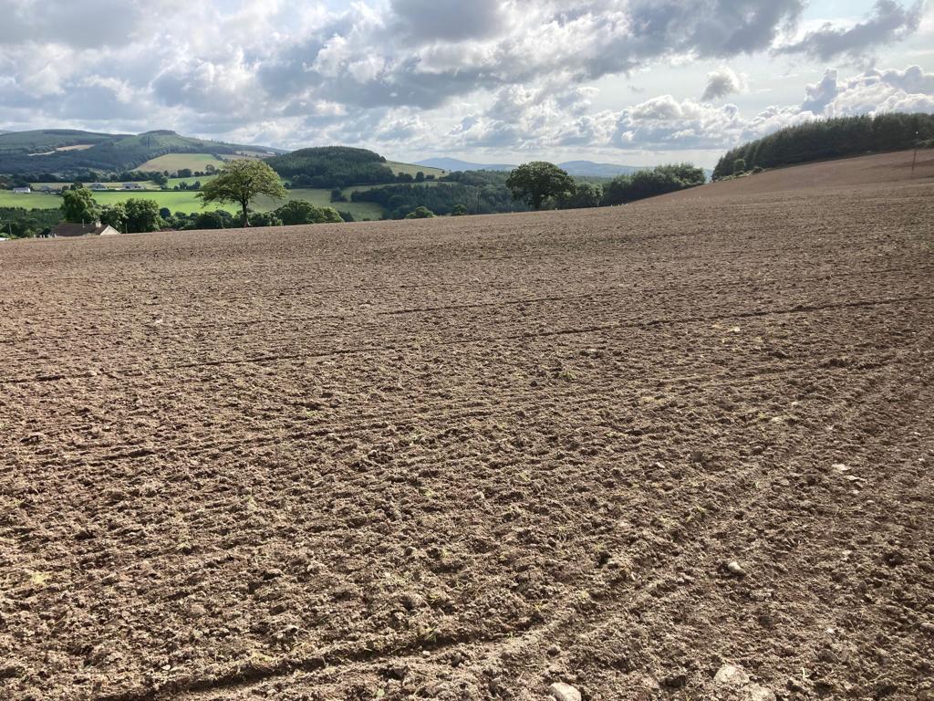 Weather woes for ABP Demo Farm's multi-species reseed - Agriland.ie