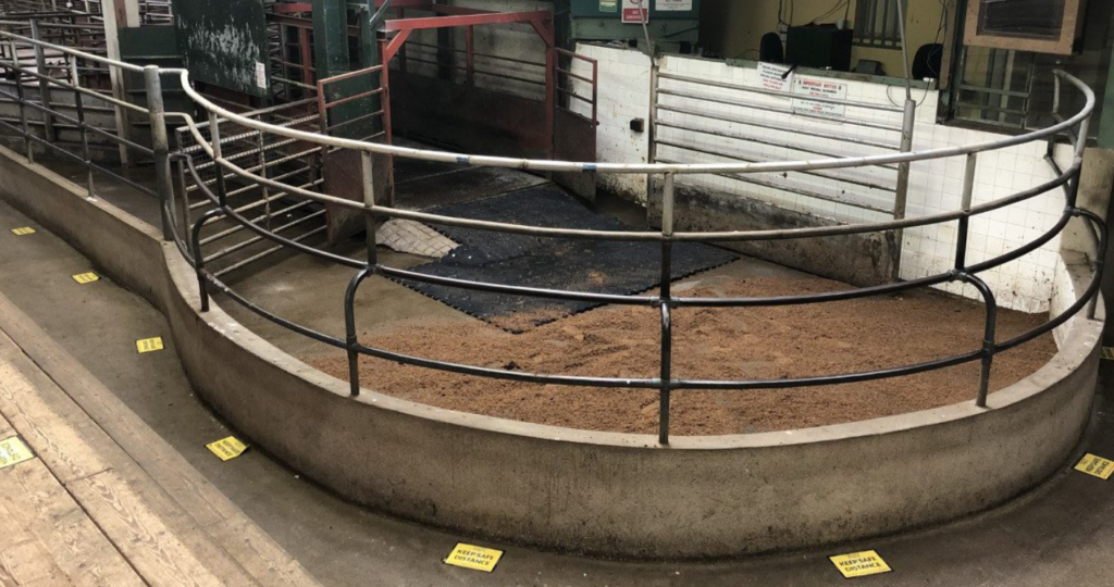 Cork-Marts-1024x540.png