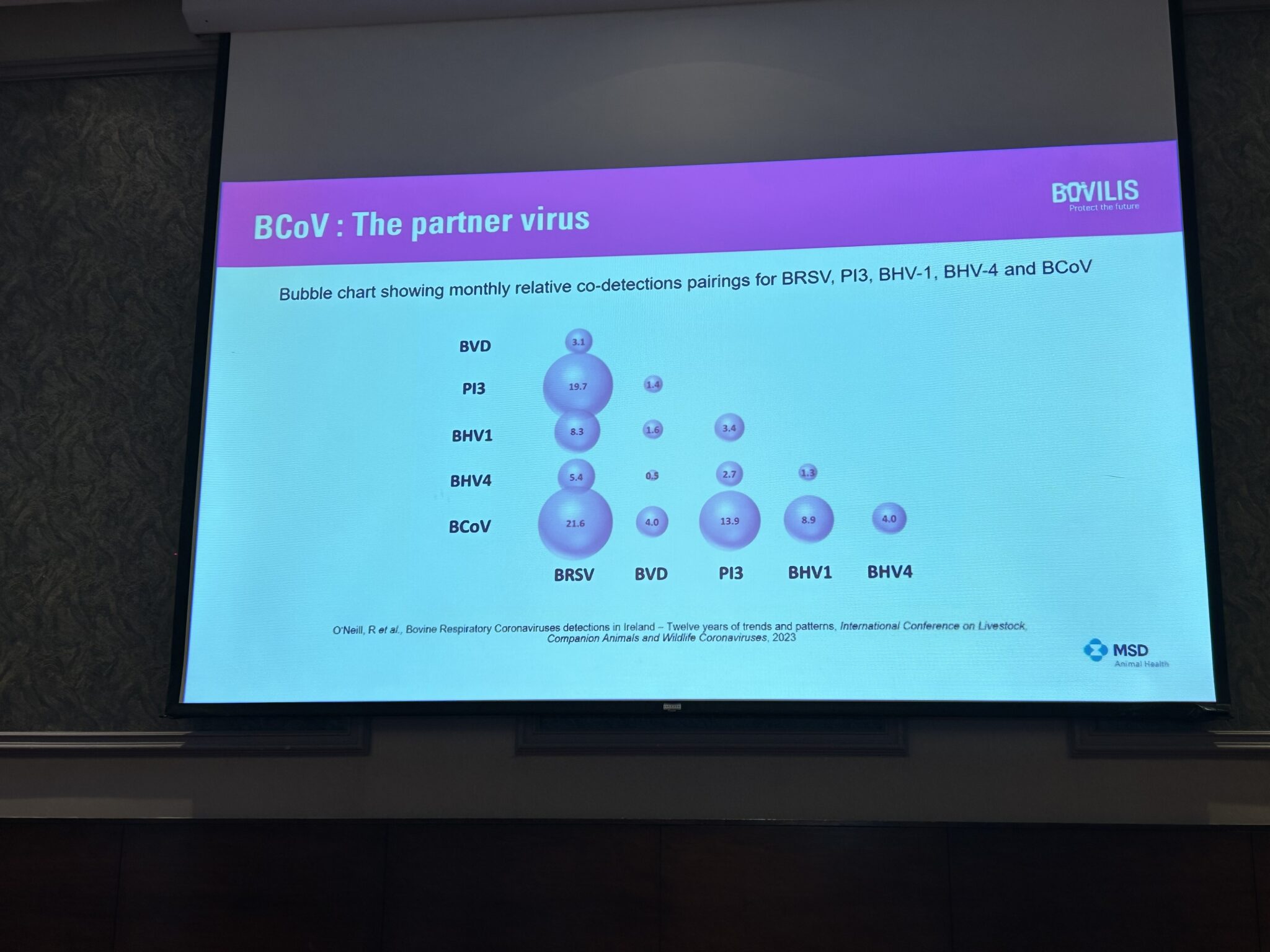 Vaccination for bovine coronavirus launched - Agriland.ie