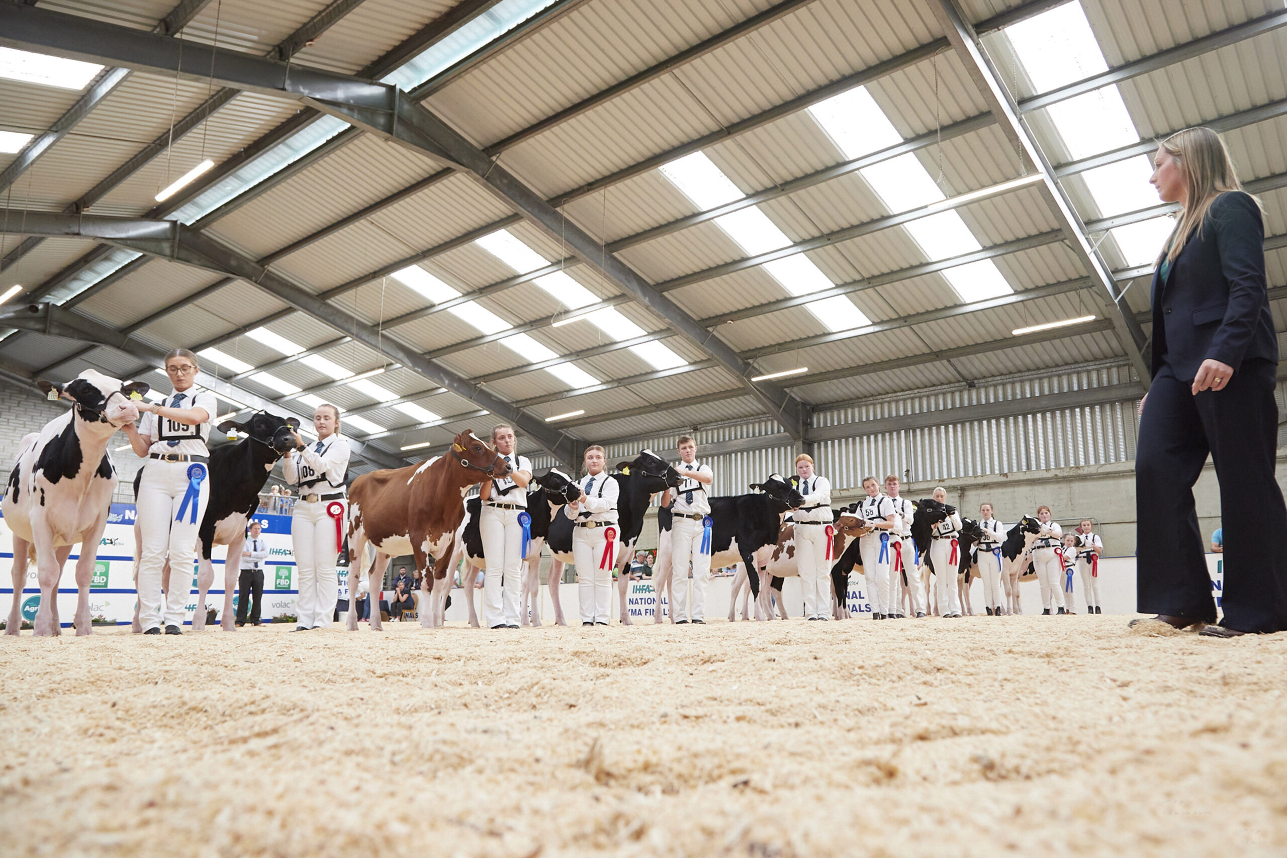 Cork handler takes IHFA YMA title at Cillin Hill - Agriland.ie