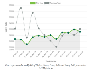 Beef kill: Steady supply but short kill-weeks continue - Agriland.ie