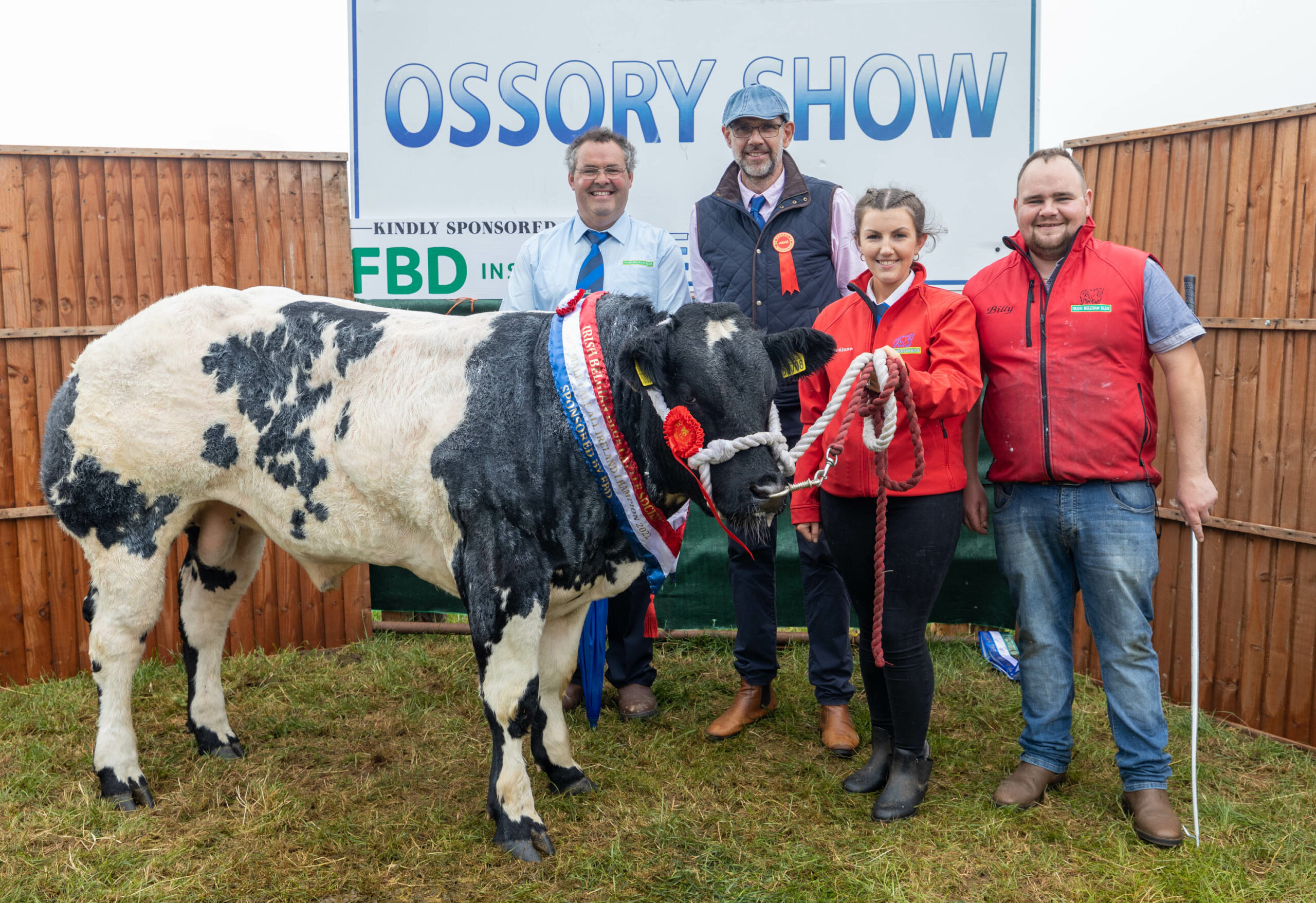125th Ossory Show set to impress with quality cattle - Agriland.ie