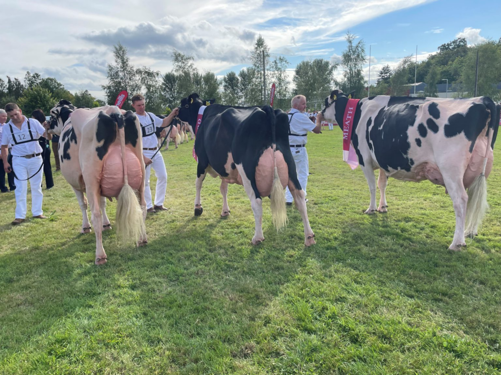 Judge for 2023 Baileys cow competition named - Agriland.ie
