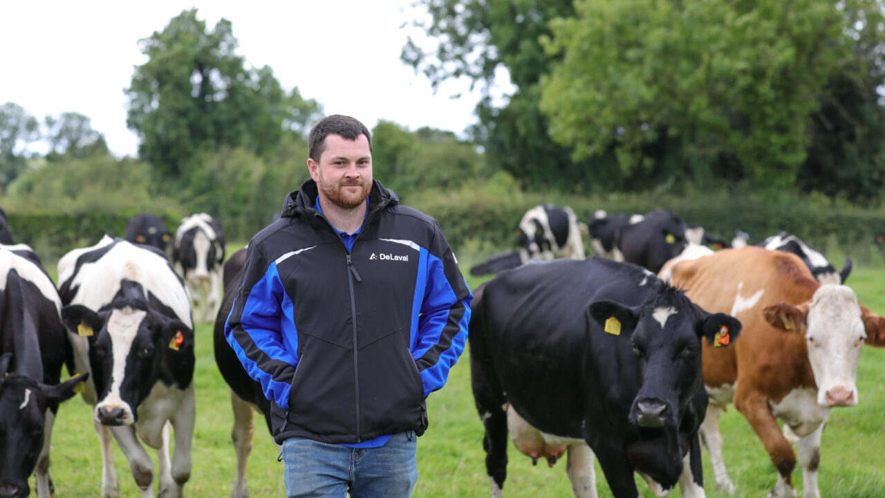 Grazing with DeLaval robots: DeLaval dealers to host open days in ...