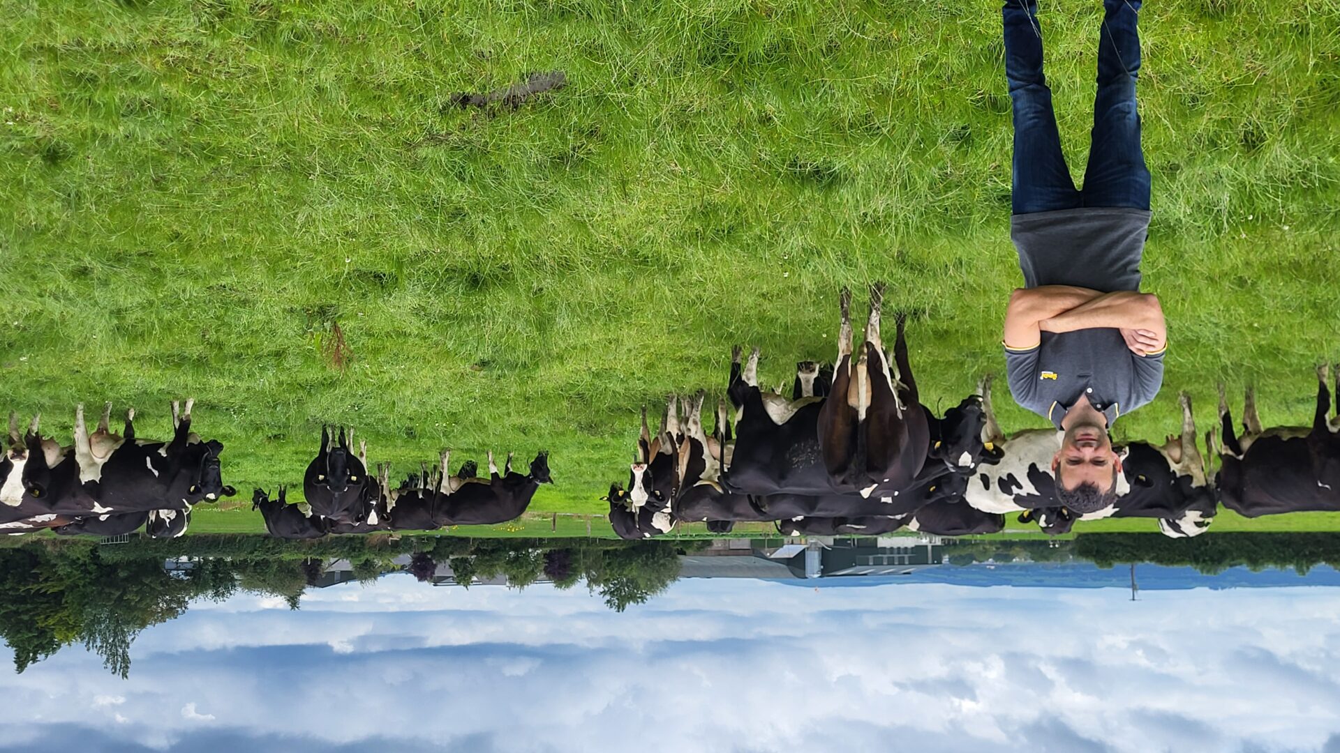 Grazing with DeLaval robots: DeLaval dealers to host open days in ...