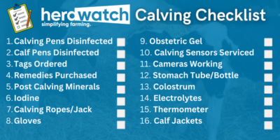 Autumn calving: A comprehensive guide to the season ahead - Agriland.ie