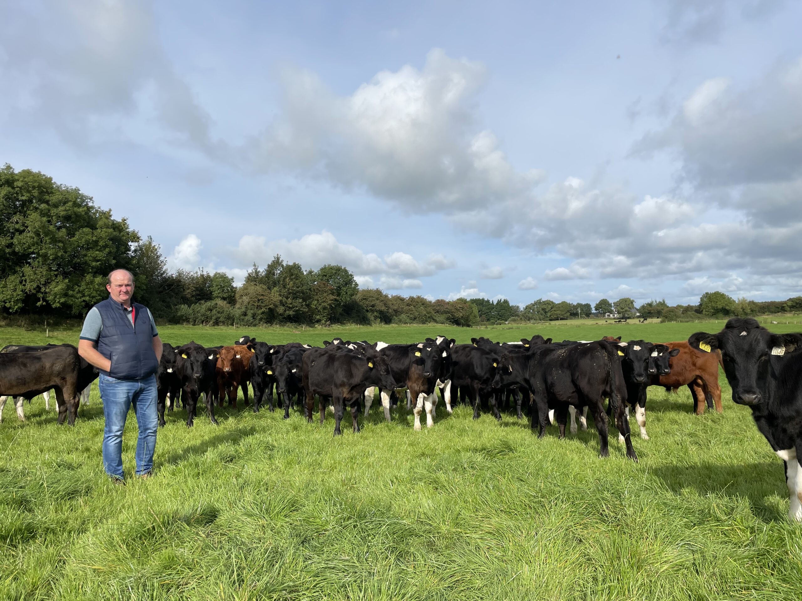 How this farmer is producing beef in the lowest 4% GHG/kg - Agriland.ie