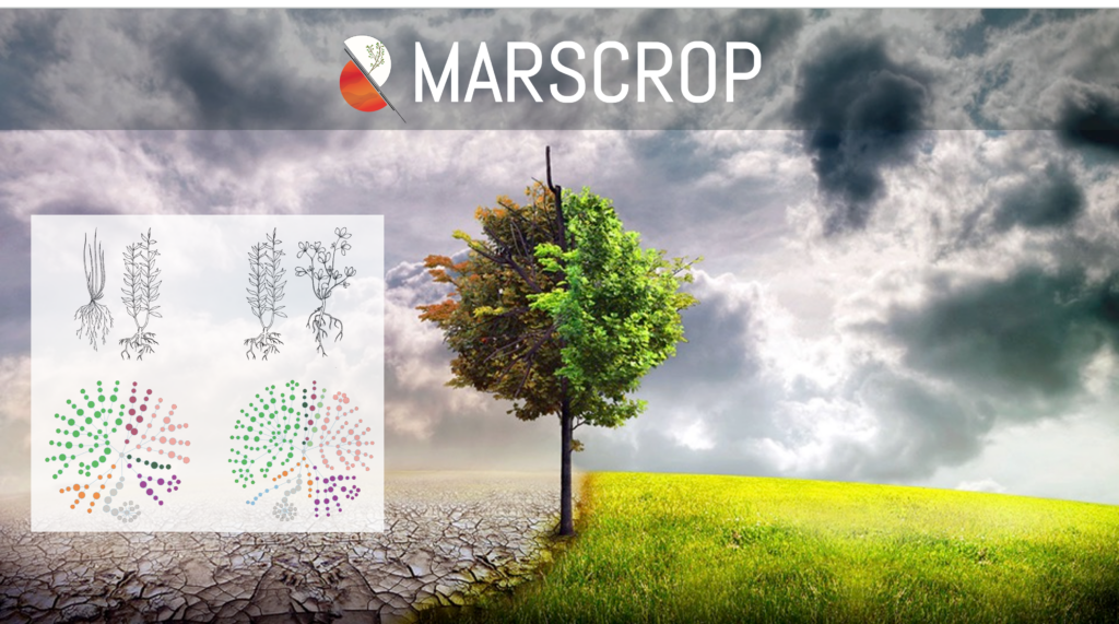 Food security - could soil from Mars become fit for farming? - Agriland.ie