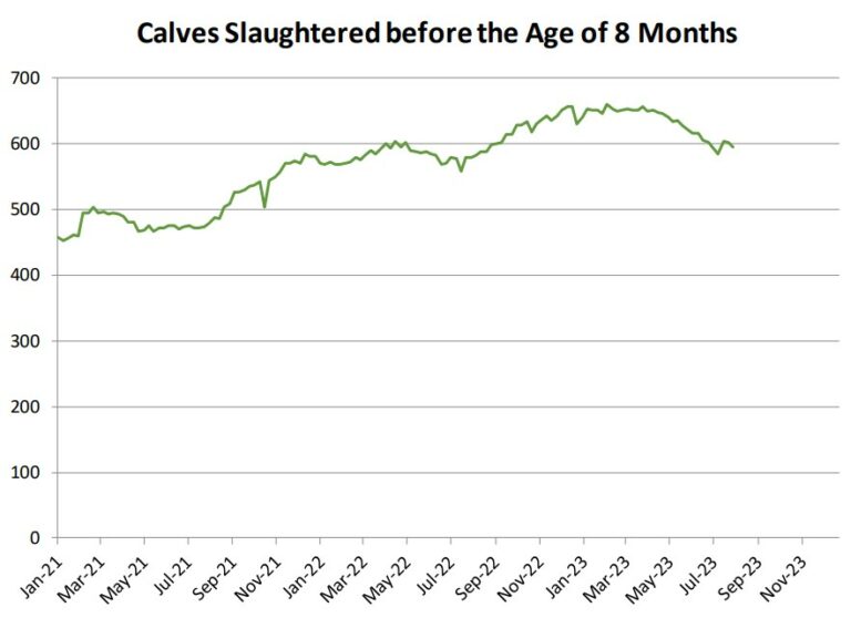 Price for Irish beef calves €68/head less than EU price - Agriland.ie