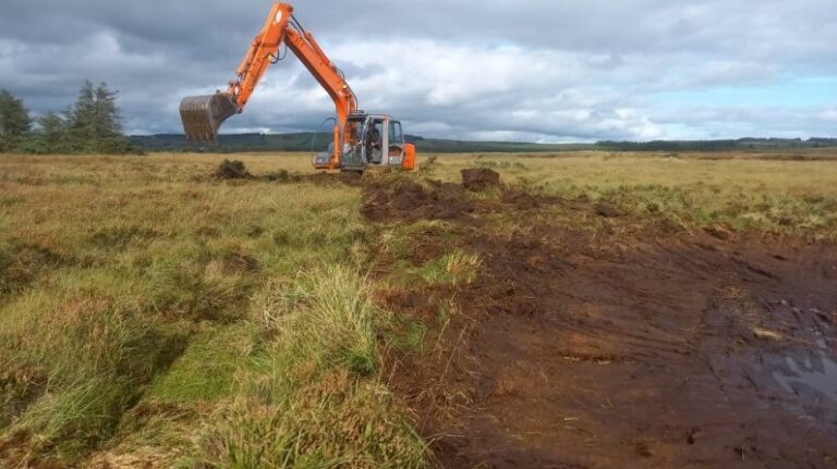 ACRES: Encouraging wildlife habitats for wild birds - Agriland.ie