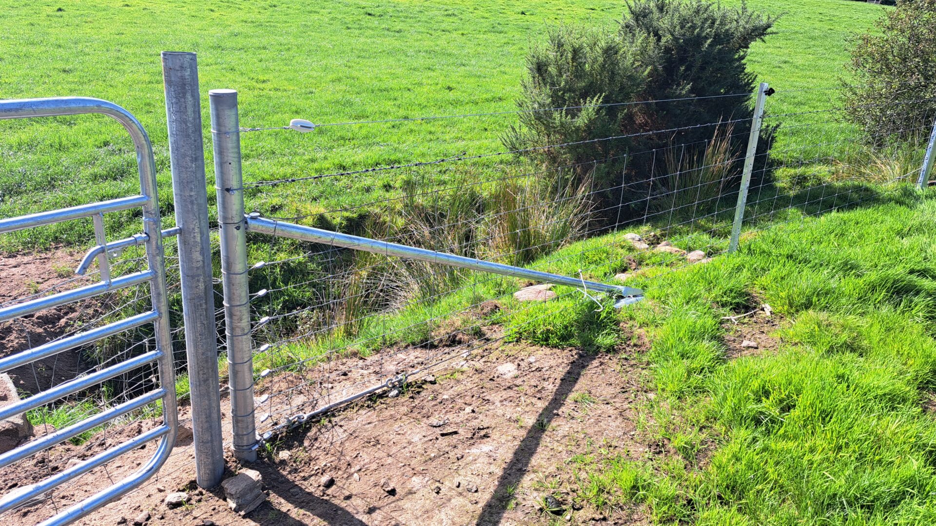 The future of fencing with Clipex - a revolution for Irish farming ...