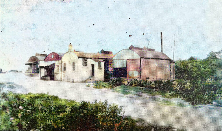 New book tells remarkable story of Drinagh Co-Operative Creamery ...