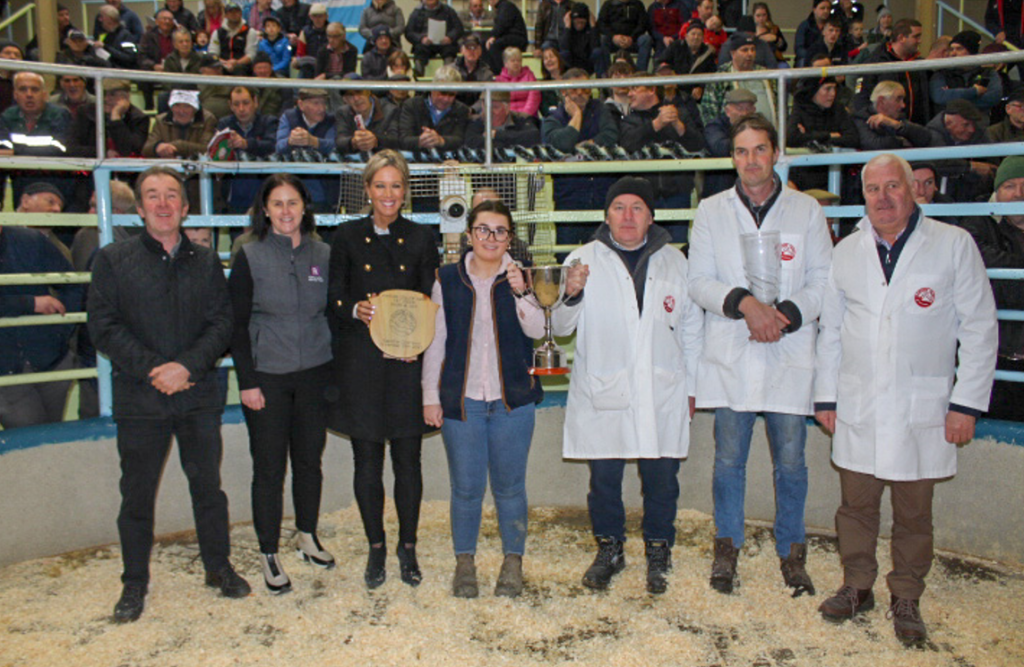 Bullocks hit €3,520 at Kanturk Mart fatstock show and sale - Agriland.ie