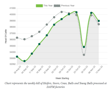 Beef kill: 2023 cow kill surpasses 2022 levels - Agriland.ie