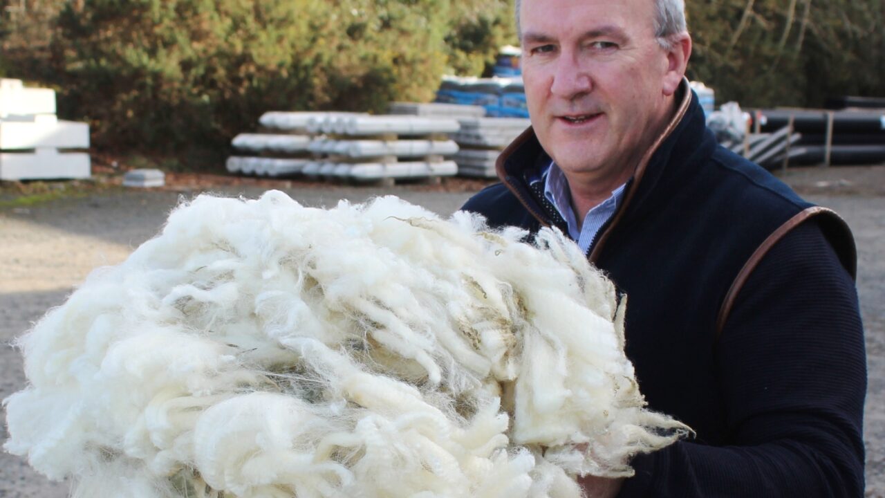 2025 wool shearing season is underway in Northern Ireland - Agriland.ie