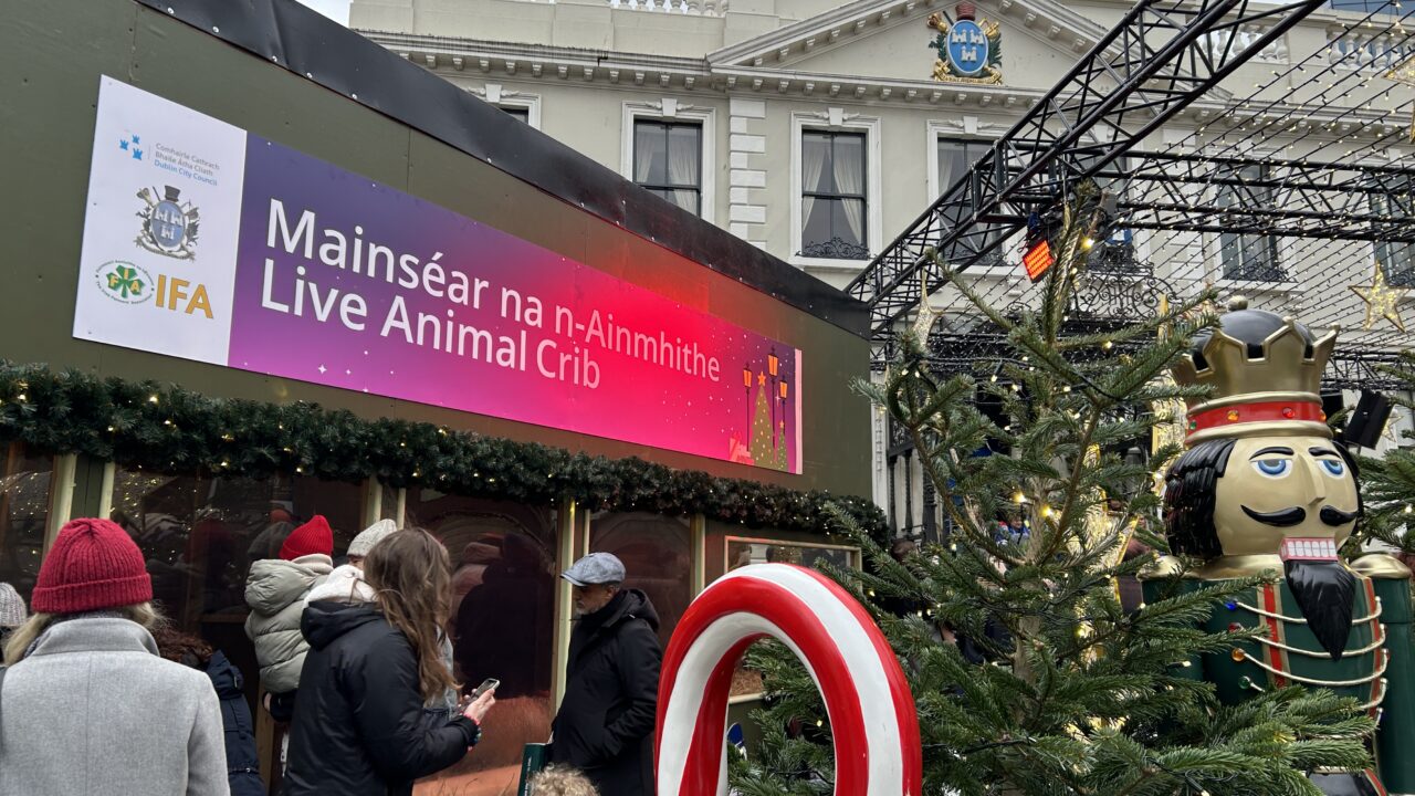 Watch: Live animal crib launched by Dublin's Lord Mayor - Agriland.ie