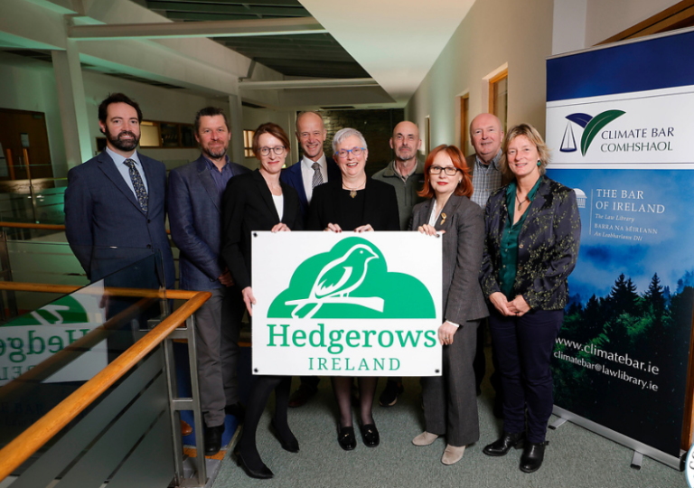 New bill which aims to 'protect hedgerows' to be launched - Agriland.ie