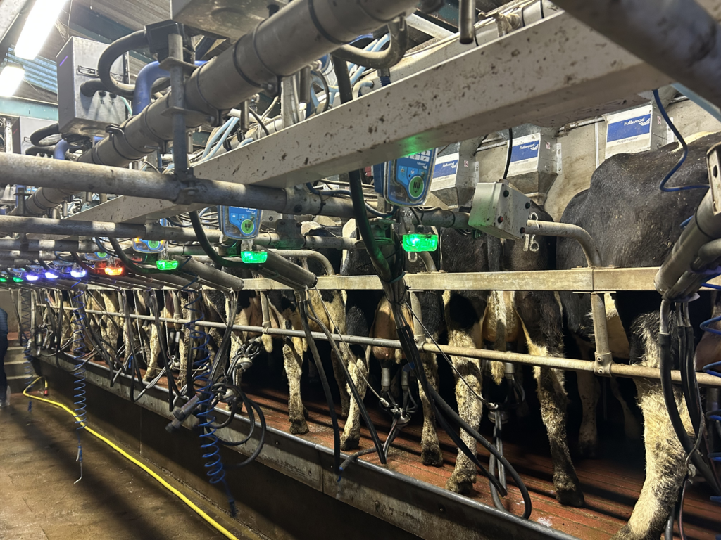 MSD launches milk quality monitoring systems - Agriland.ie