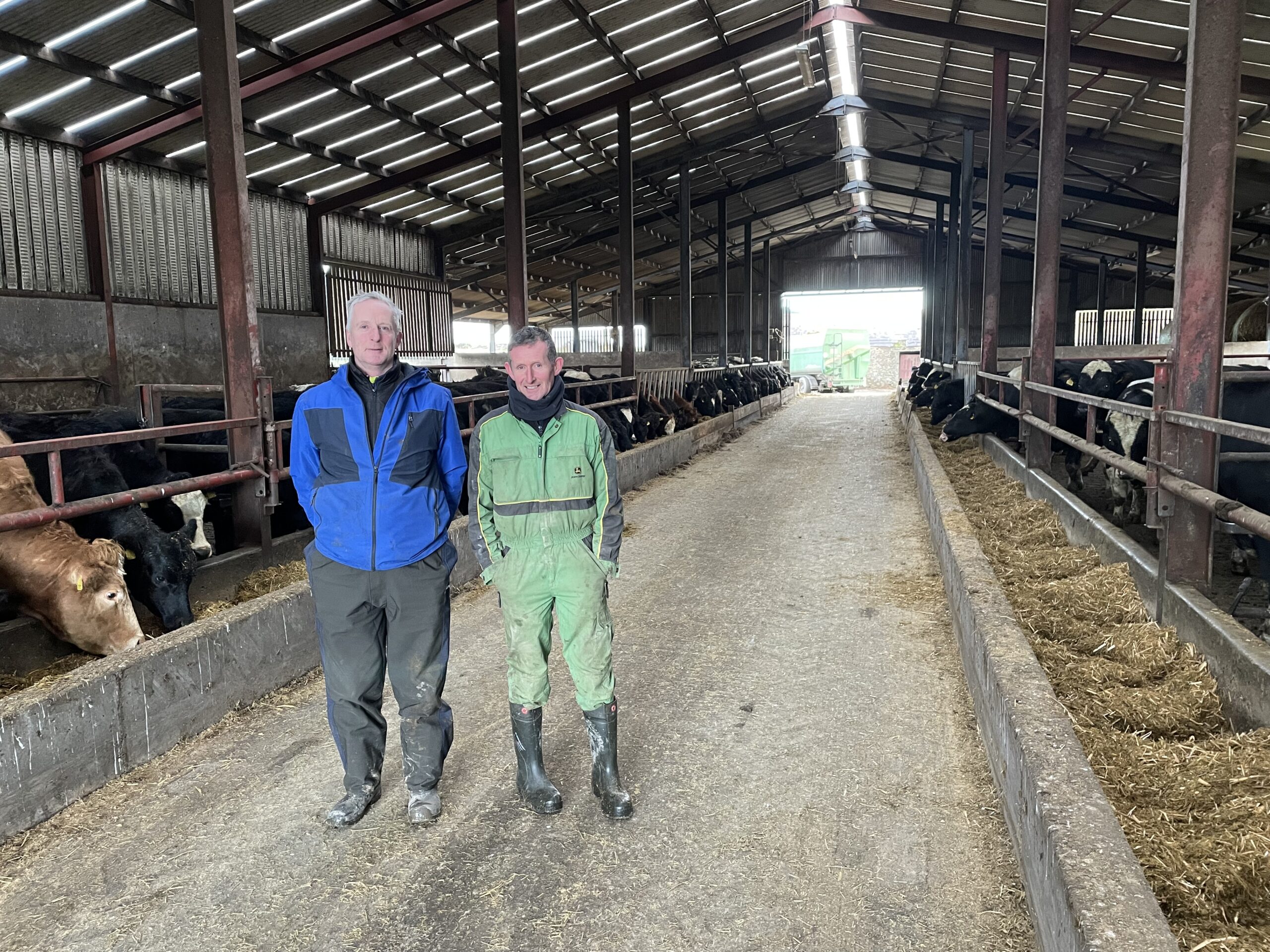 Beef focus: Integrated dairy and beef farm in Tipperary - Agriland.ie