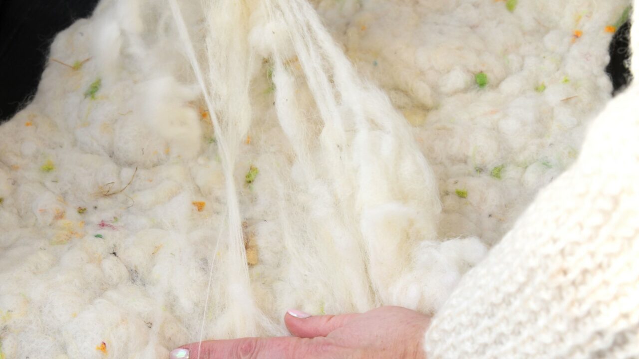 Why has the price of wool changed over time? - Agriland.ie