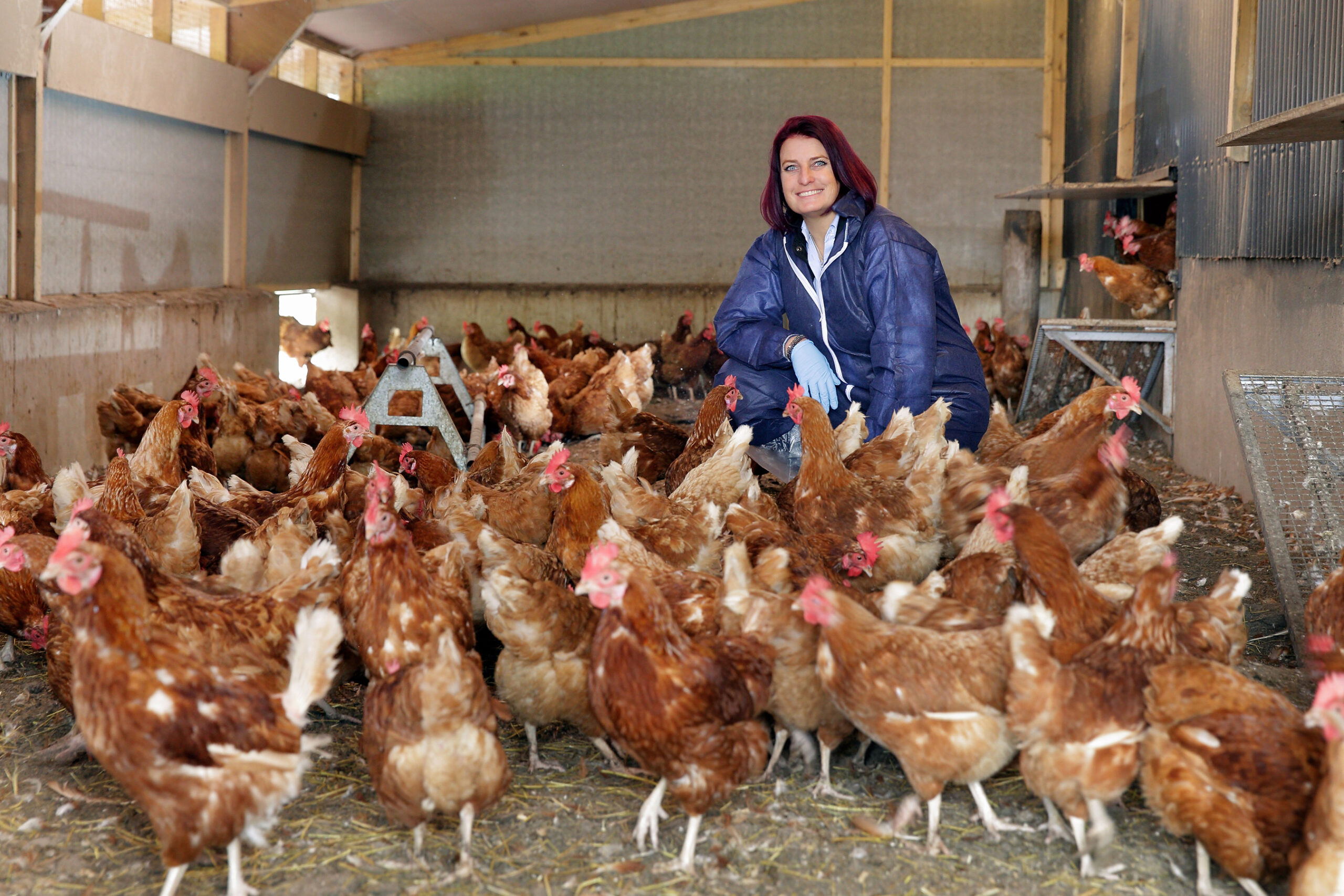 Poultry organisation to share performance improvement tips with egg ...