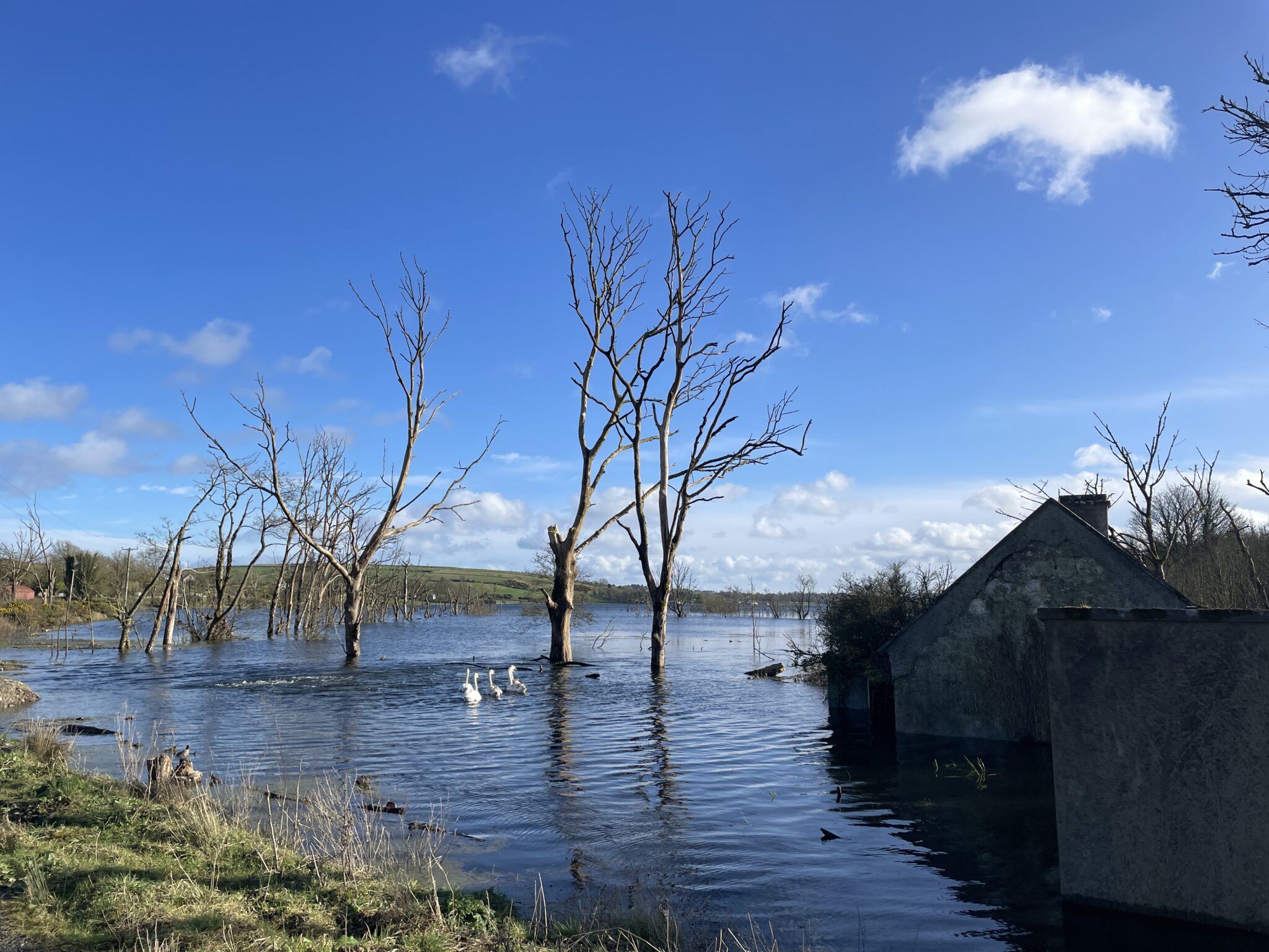 Video: Farmers' heartbreak over flooding at Lough Funshinagh - Agriland.ie