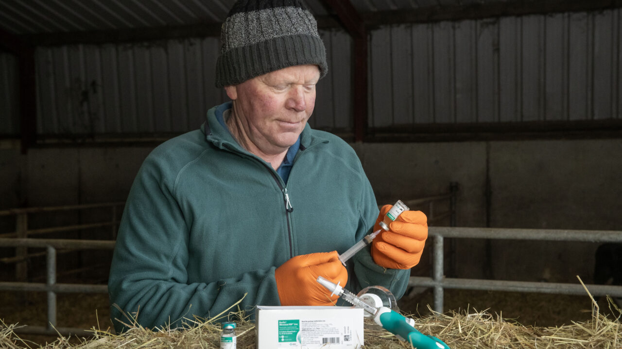 Wexford farmer adopts 'game changer' into calving routine - Agriland.ie