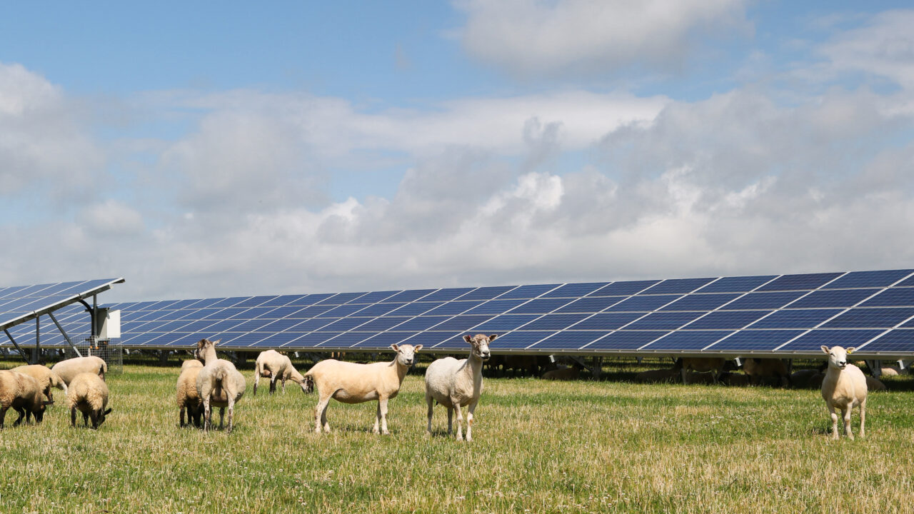 Secure your family land and reduce farm costs with solar - Agriland.ie