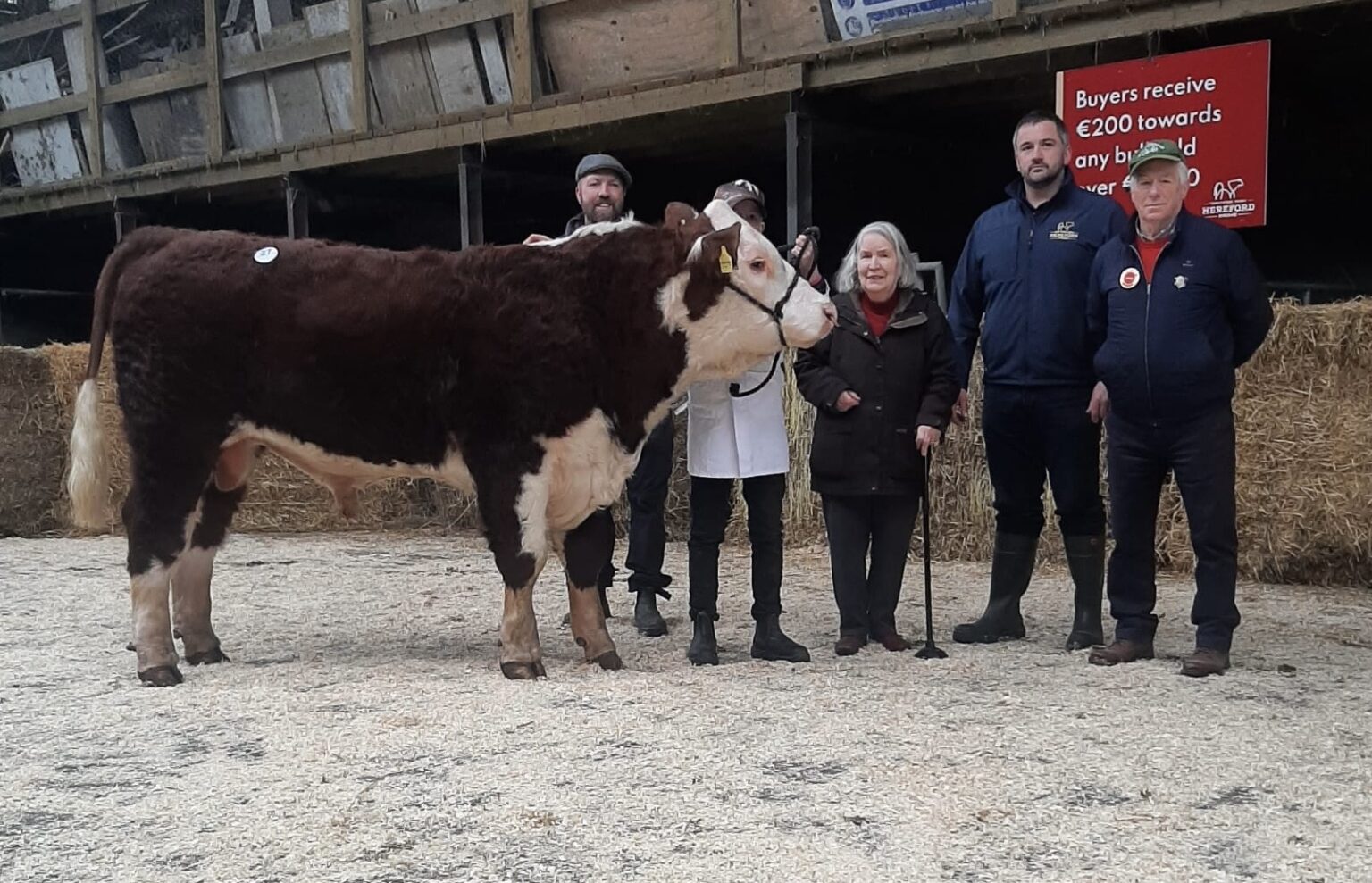 Ballydehob-bred bull takes top title at Bandon Hereford sale - Agriland.ie