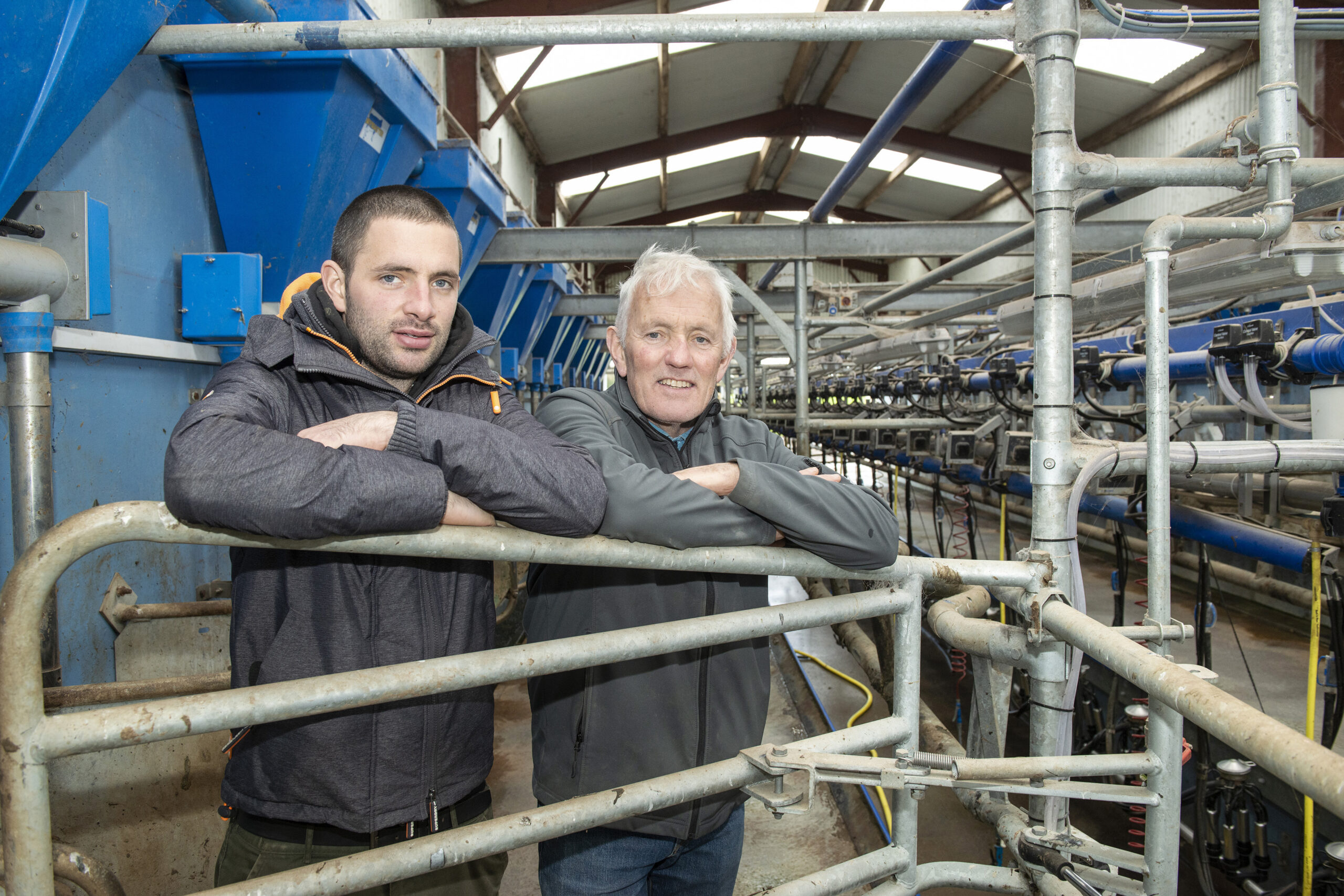 Dairy Beef Index Series: Limerick farmers plan to breed 100 cows to ...