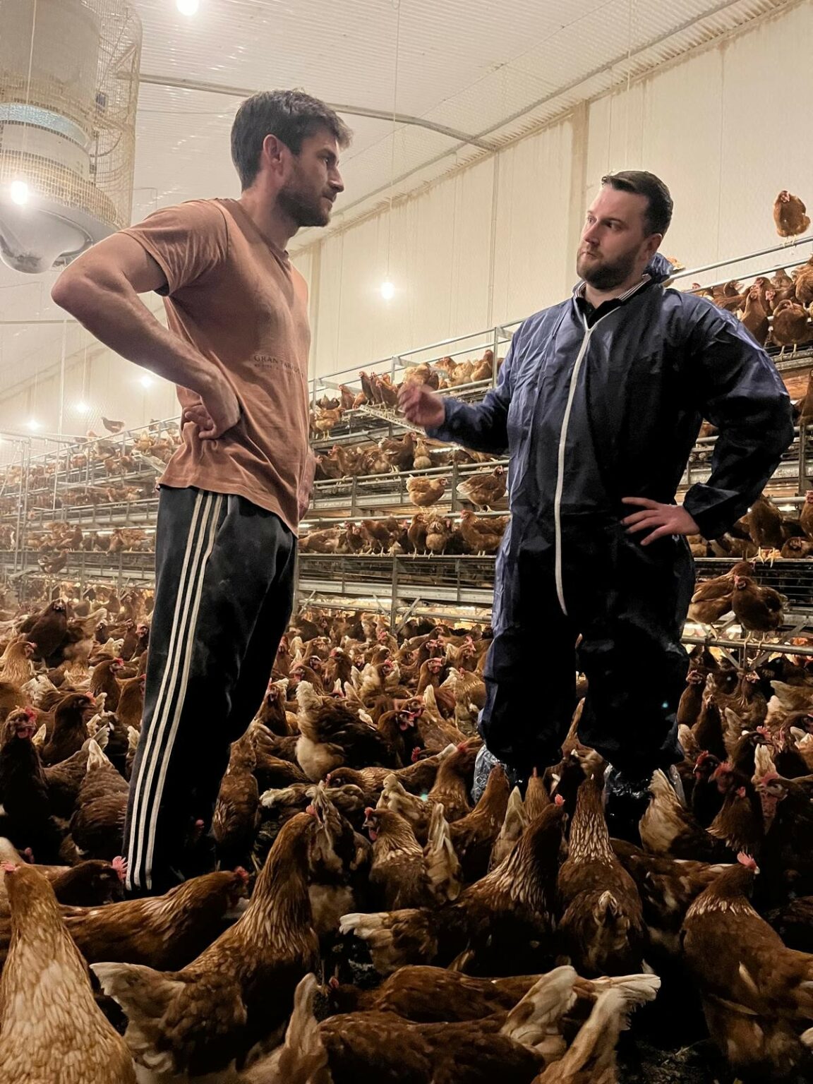 Louth poultry farmer finds solution for tackling red mites - Agriland.ie