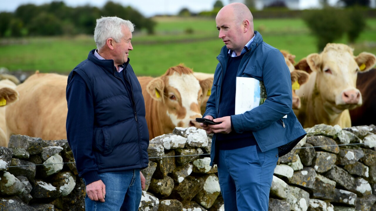What can you expect during your Bord Bia audit? - Agriland.ie