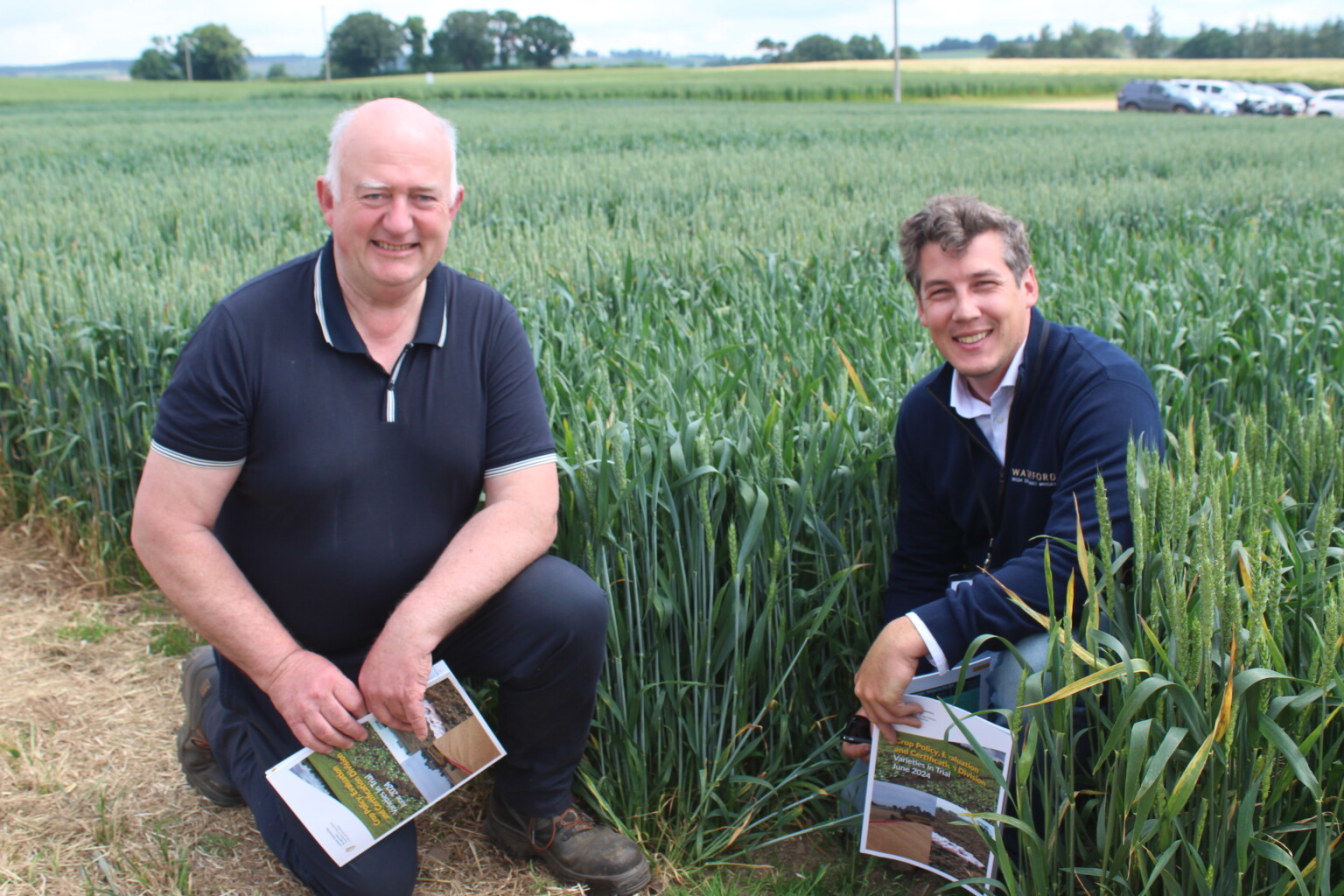 Winter barley 2024: Combines will be rolling within a fortnight ...