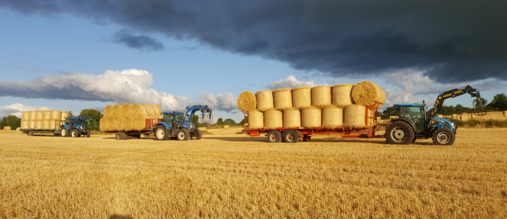 Straw trade: What are prices looking like for this year? - Agriland.ie