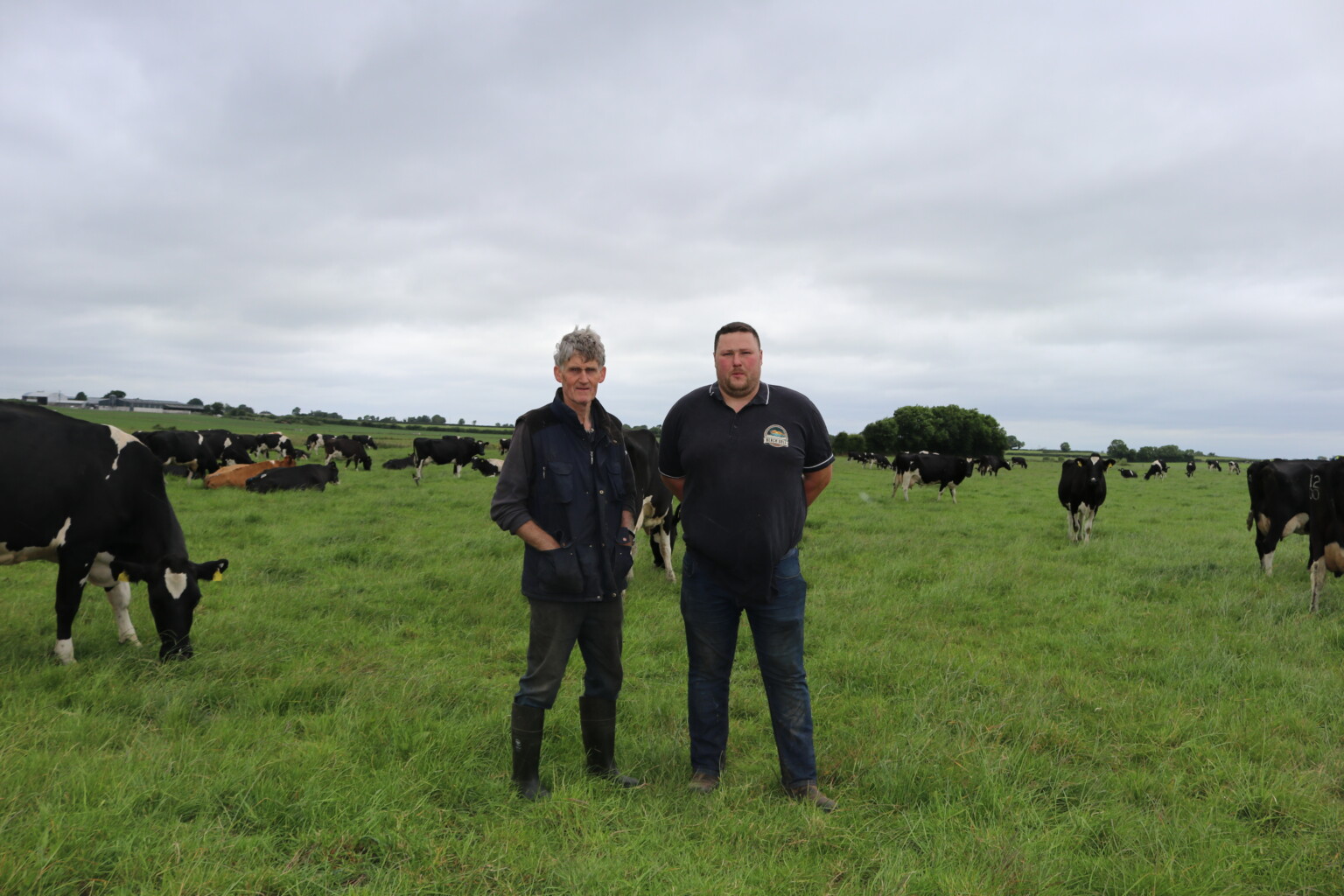 Buffer feeding strategy on Tipperary dairy farm increases cow ...