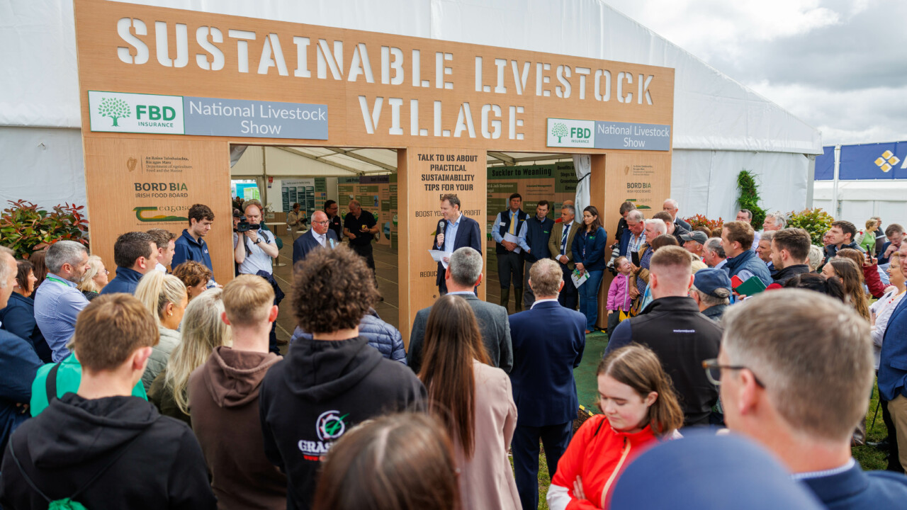 Tullamore Show attracts more than 5,000 entries this year - Agriland.ie