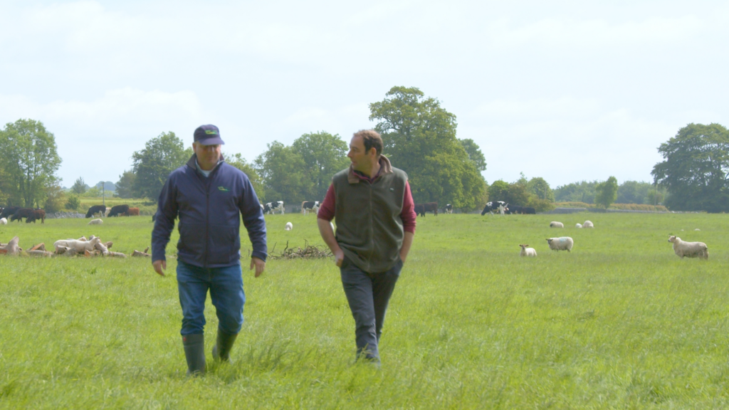 Flock Forwards, not Backwards Series: How to manage worms on farm ...