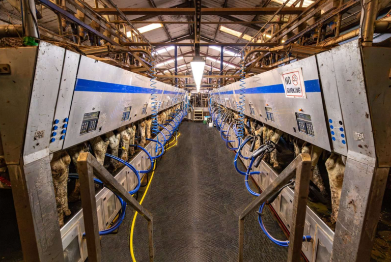Co. Down: Large scale dairy farm hits the market for £6.5m - Agriland.ie