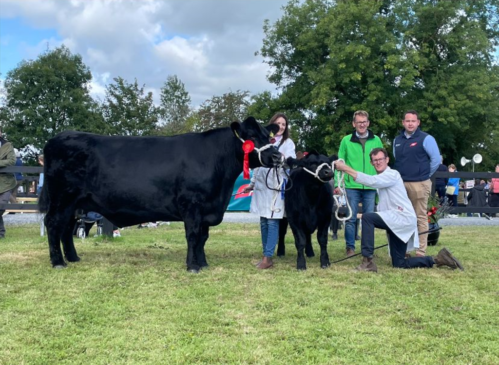Gallery: Winners from the Angus classes at Iverk Show - Agriland.ie