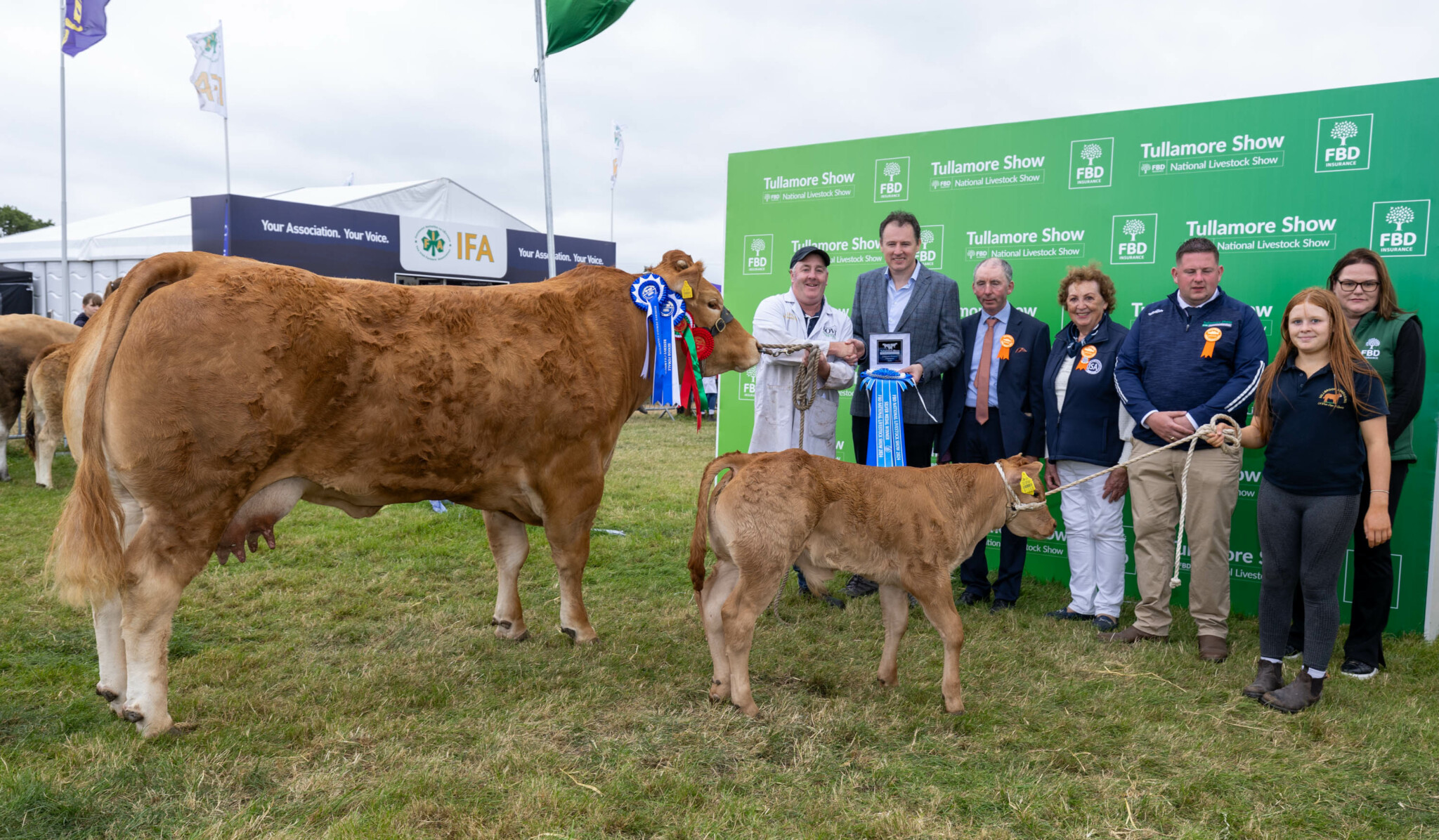 Gallery: Parade of Champions at Tullamore Show 2024 - Agriland.ie