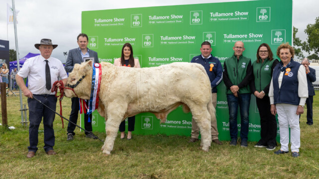 Gallery: Parade of Champions at Tullamore Show 2024 - Agriland.ie