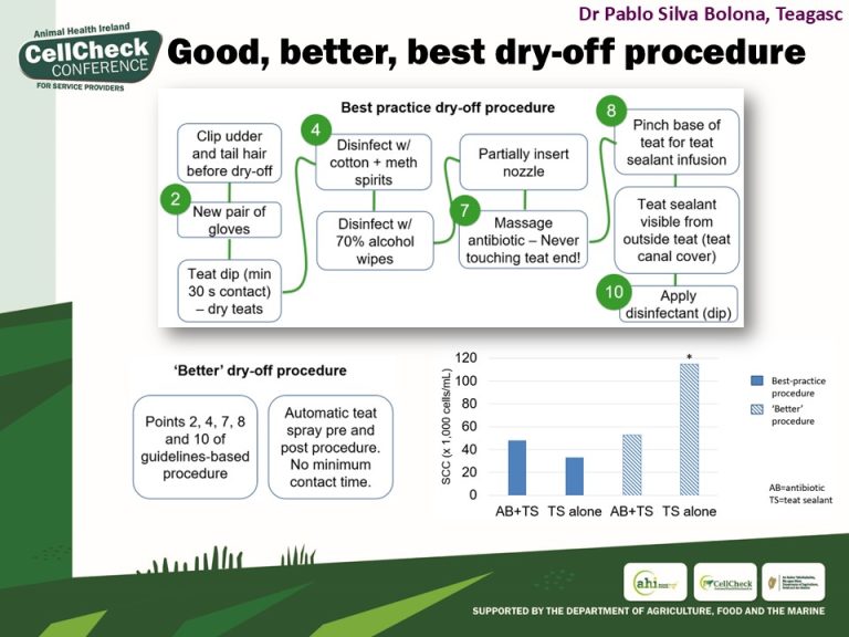 Drying off in a new era without blanket dry cow therapy - Agriland.ie