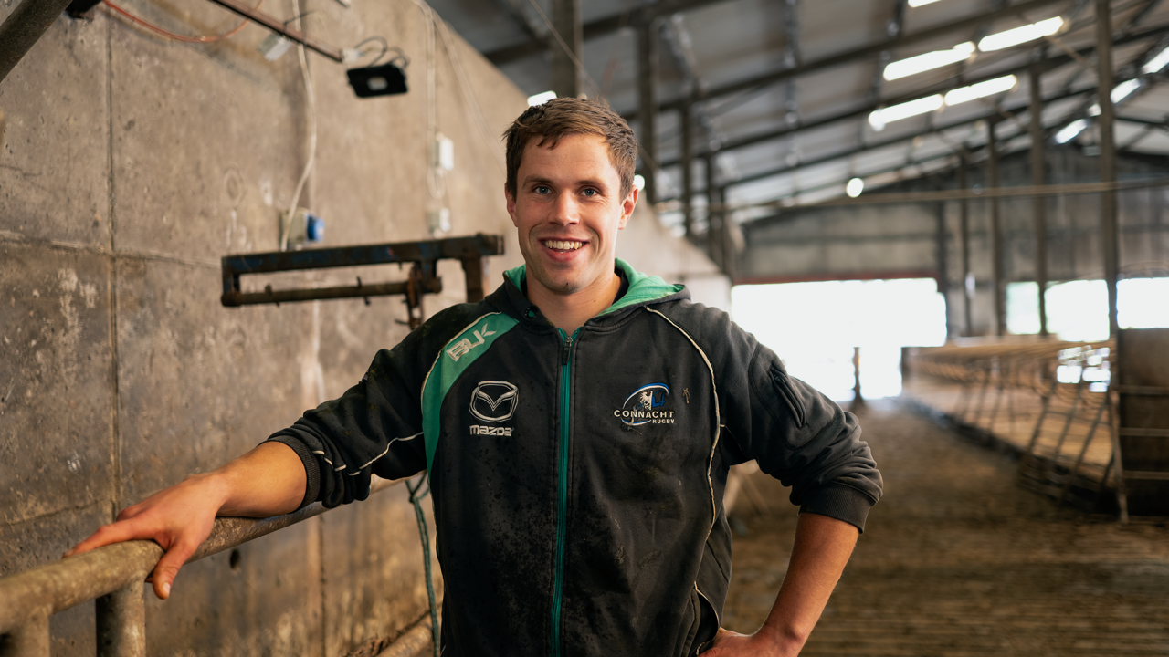 Watch: Proven fertility boost on Cork spring calving farm - Agriland.ie