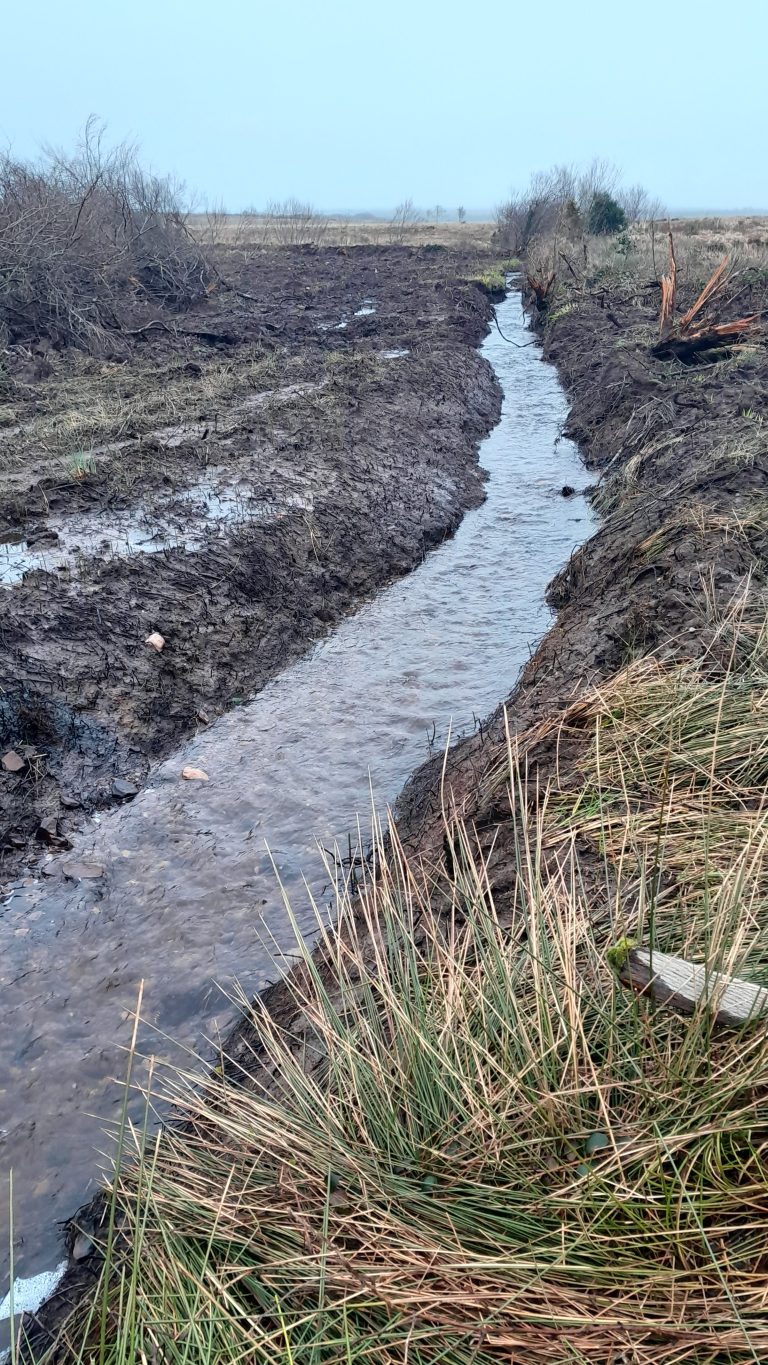 Landowner convicted for dredging fish spawning habitat - Agriland.ie