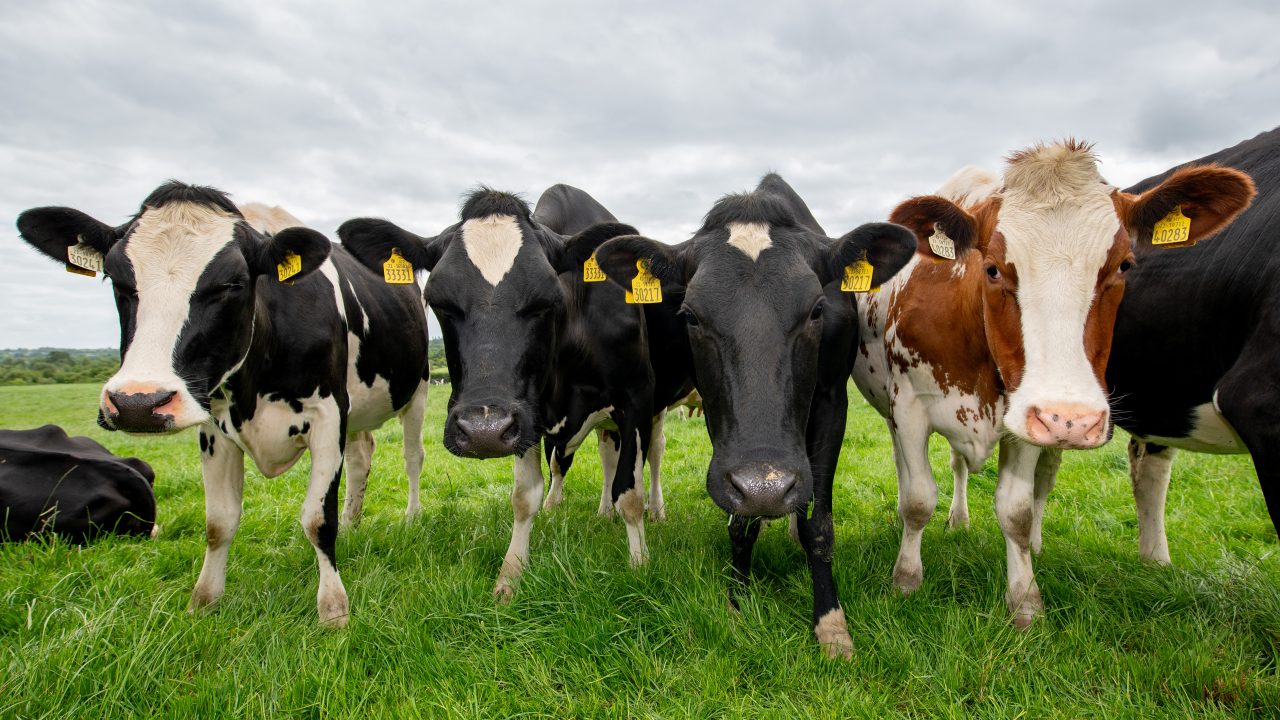 Events to showcase options for life beyond the farm - Agriland.ie