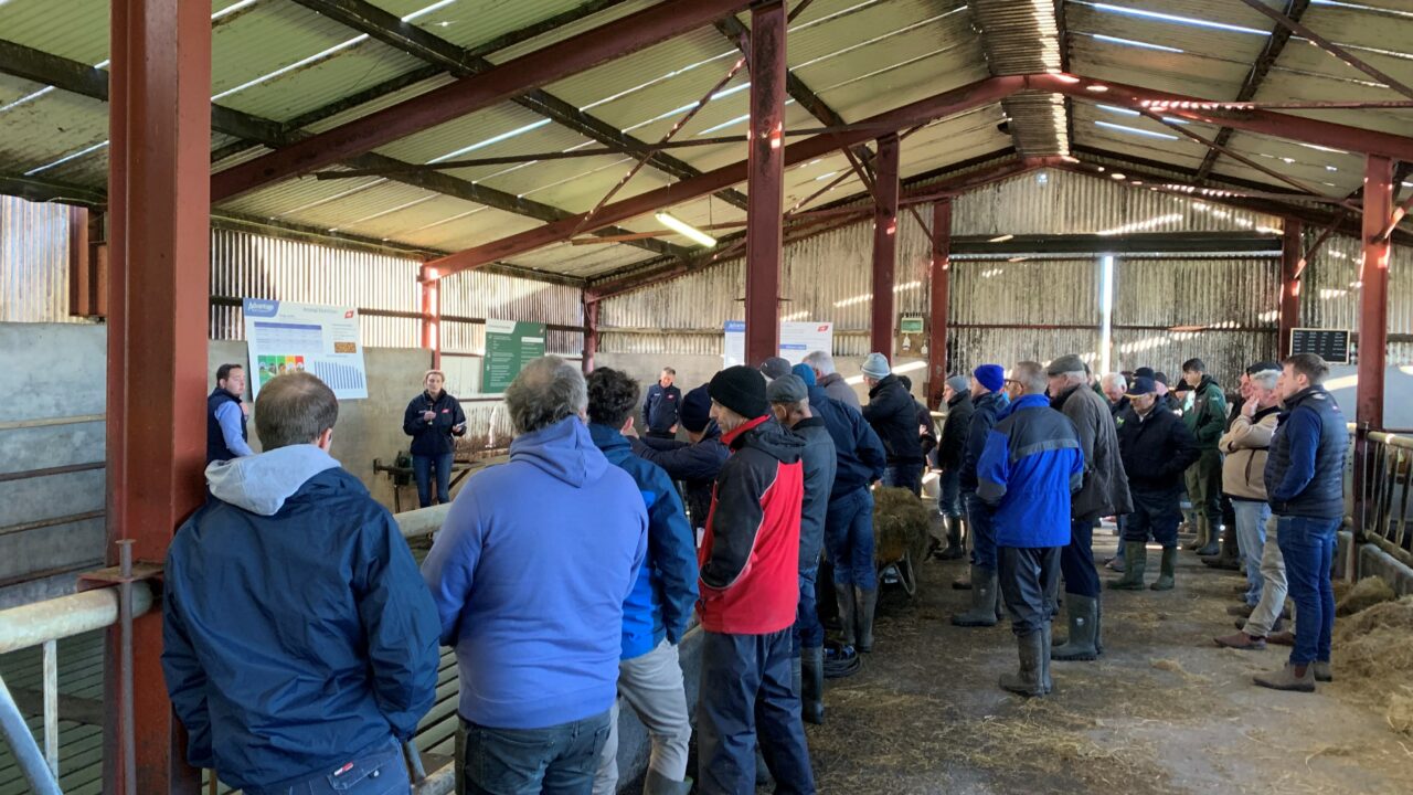 Dairy-beef integration project to host info event in Bandon - Agriland.ie
