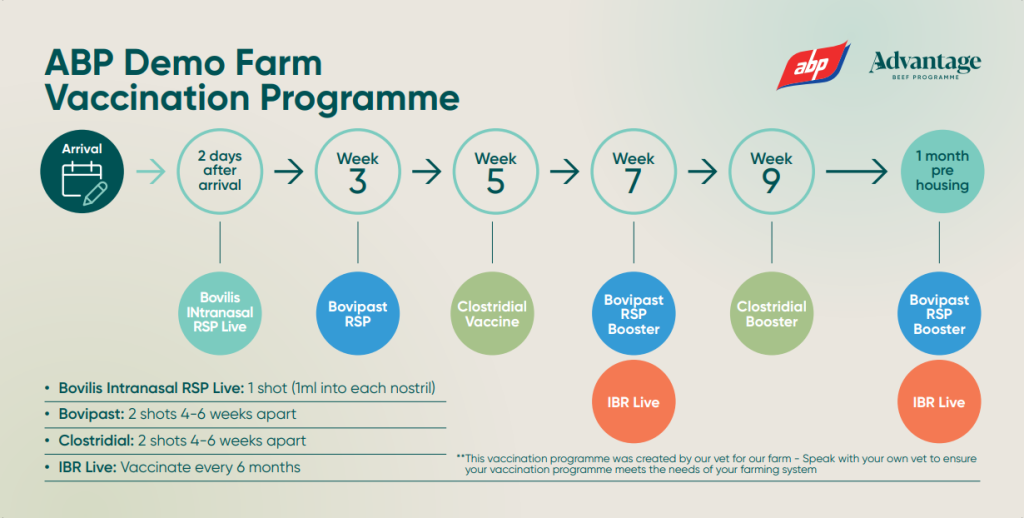 ABP Beef Series: What does it cost to rear a calf? - Agriland.ie