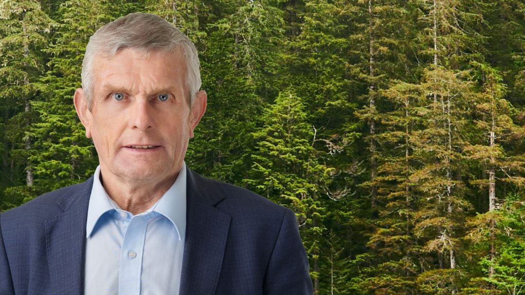 TD to raise forestry setback legislation in Dáil - Agriland.ie